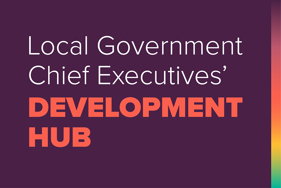 Local Government Chief Executives' Development Hub | Local Government ...