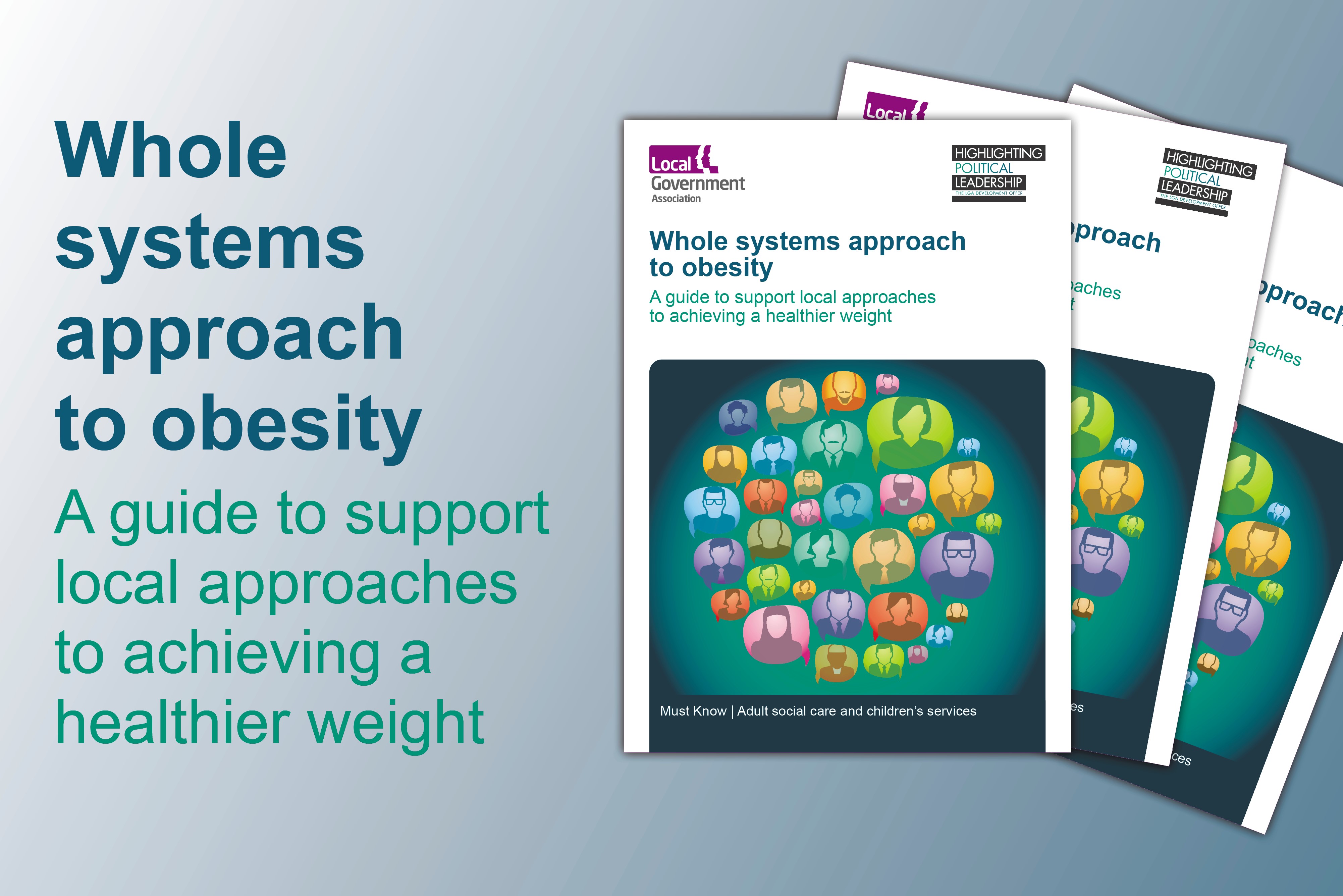 Whole systems approach to obesity: a guide to support local approaches ...